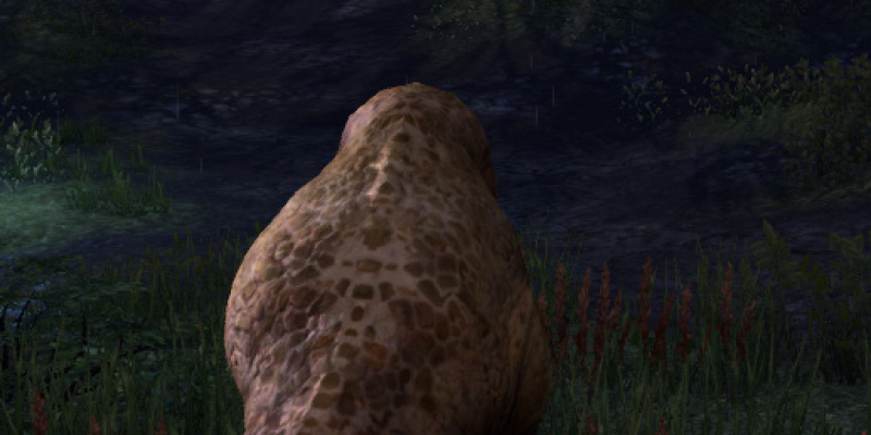 Gallery O' Guar » ESO Academy