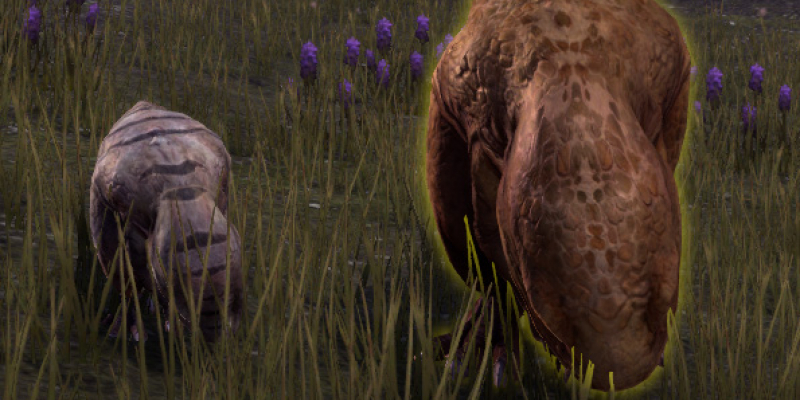 Gallery O' Guar » ESO Academy