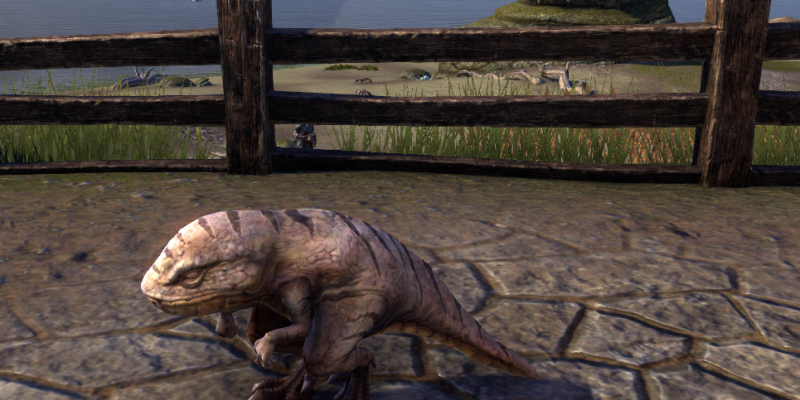Gallery O' Guar » ESO Academy