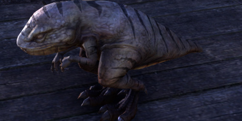 Gallery O' Guar » ESO Academy