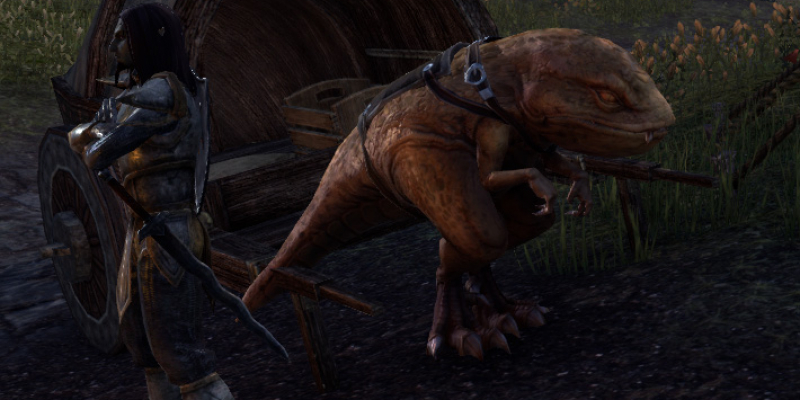 Gallery O' Guar » ESO Academy