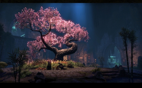 ESO Load Screens » ESO Academy